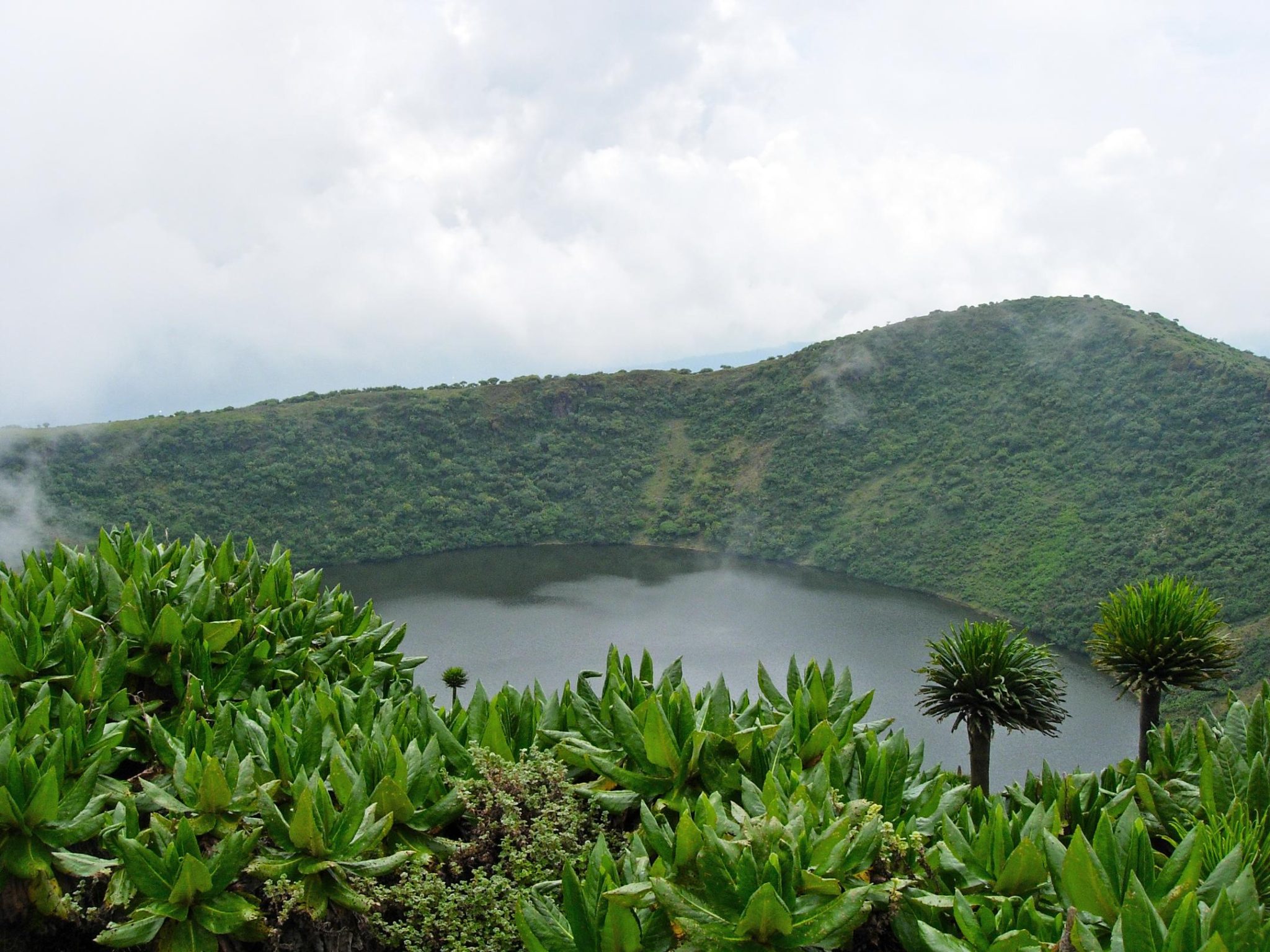 Mount Bisoke Trekking | Costs, Permits & Essentials
