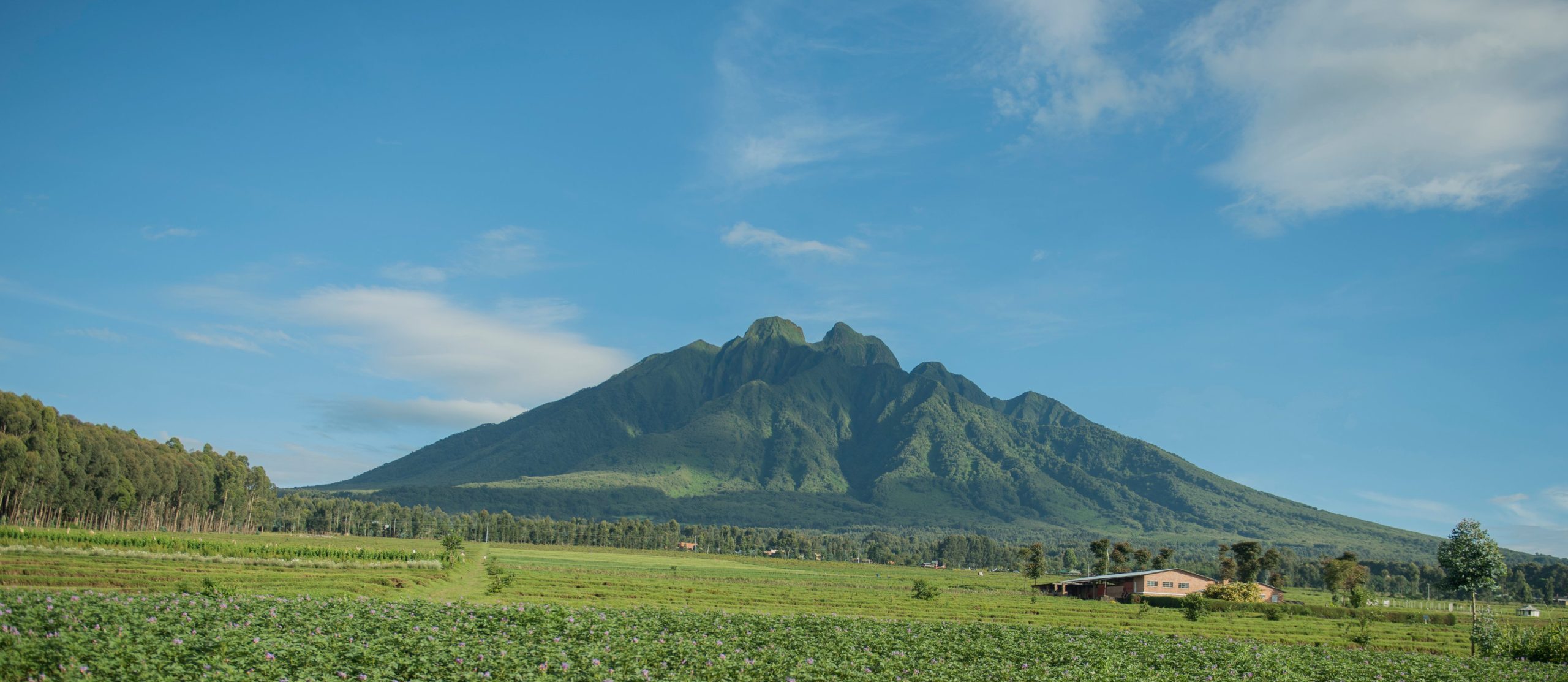 Mount Sabyinyo Hike | Uganda, Rwanda & Congo Volcano Trek