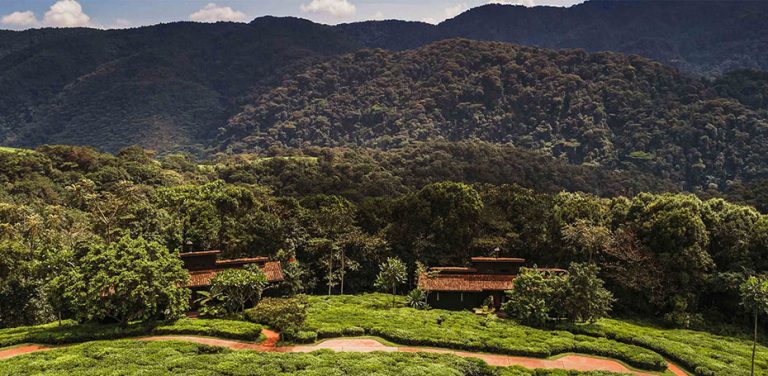 Guide to Rwanda's National Parks | Wildlife & Activities