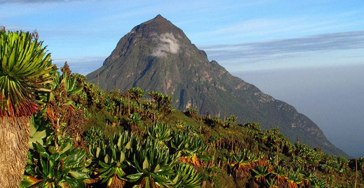 Visit Akagera National Park in Rwanda, Entry Fees & Safaris