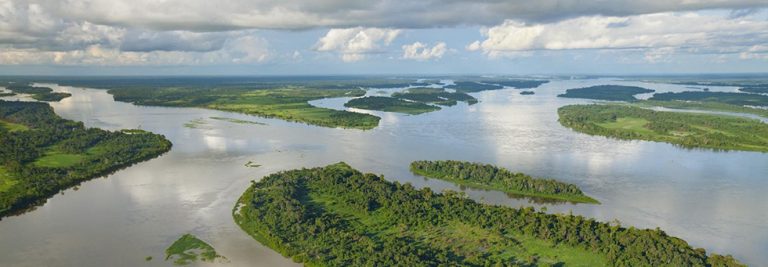 Congo National Parks | Gorilla Trekking & Wildlife Safaris