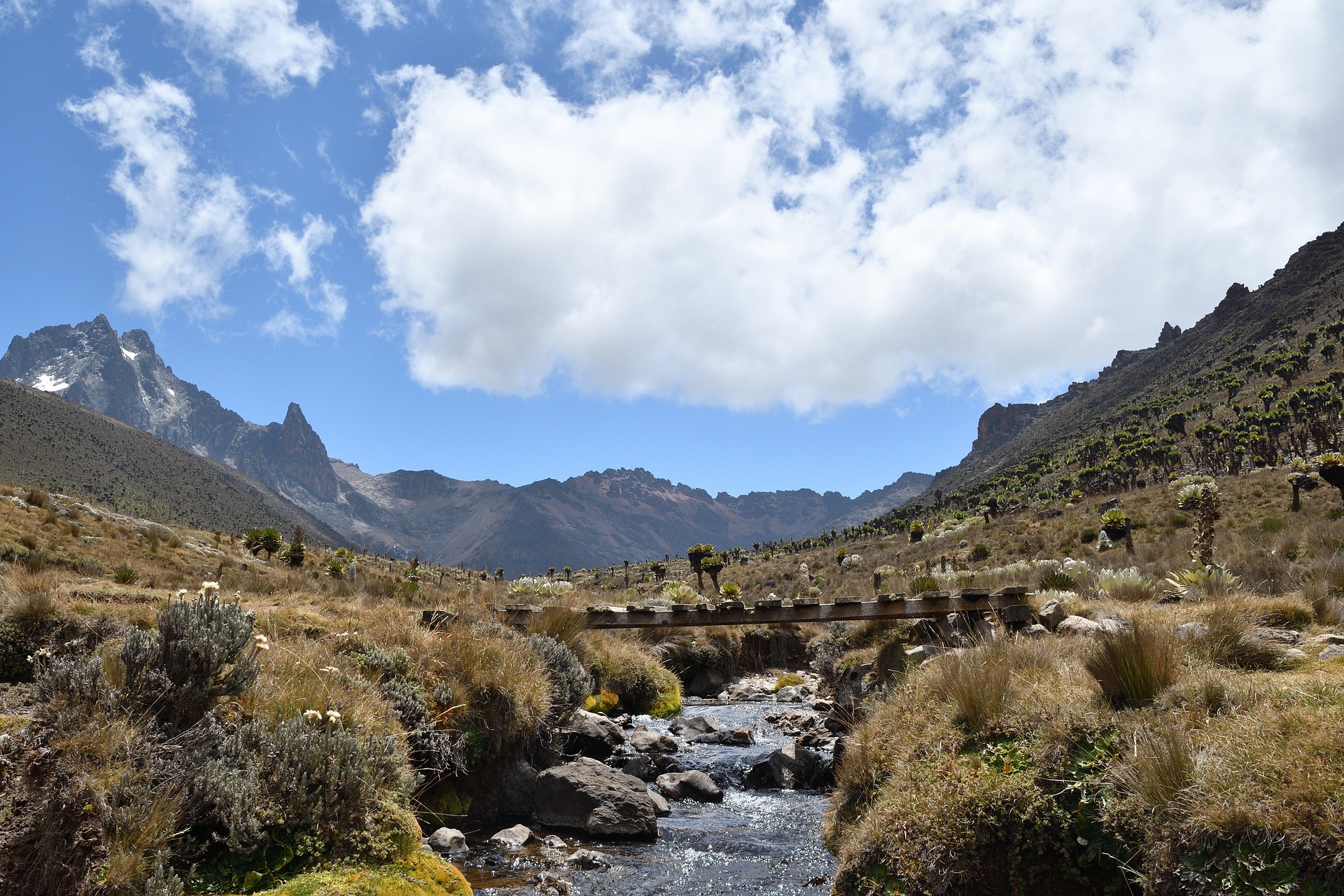 5-Day Mount Kenya Hike | Climb via Sirimon & Chogoria Routes