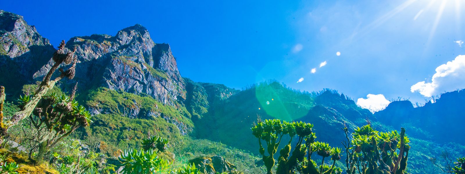 12-Day Rwenzori Trek | Summit Margherita Peak