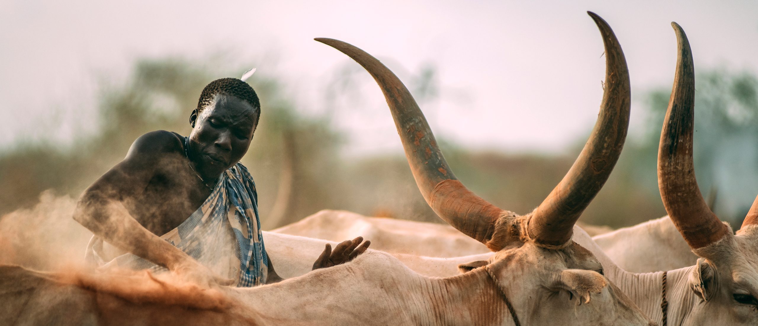8-Day South Sudan Mundari Culture & Nimule Park Safari