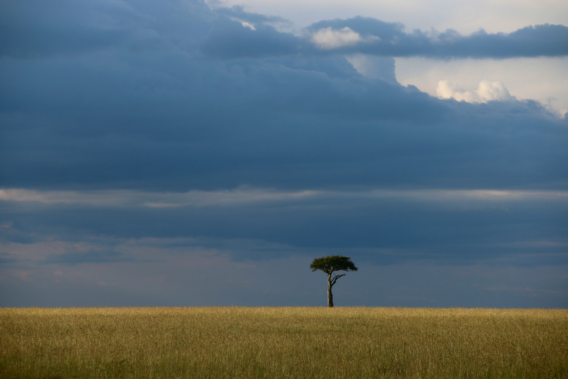 7-Day Kenya Safari | Explore Masai Mara, Lake Nakuru & More